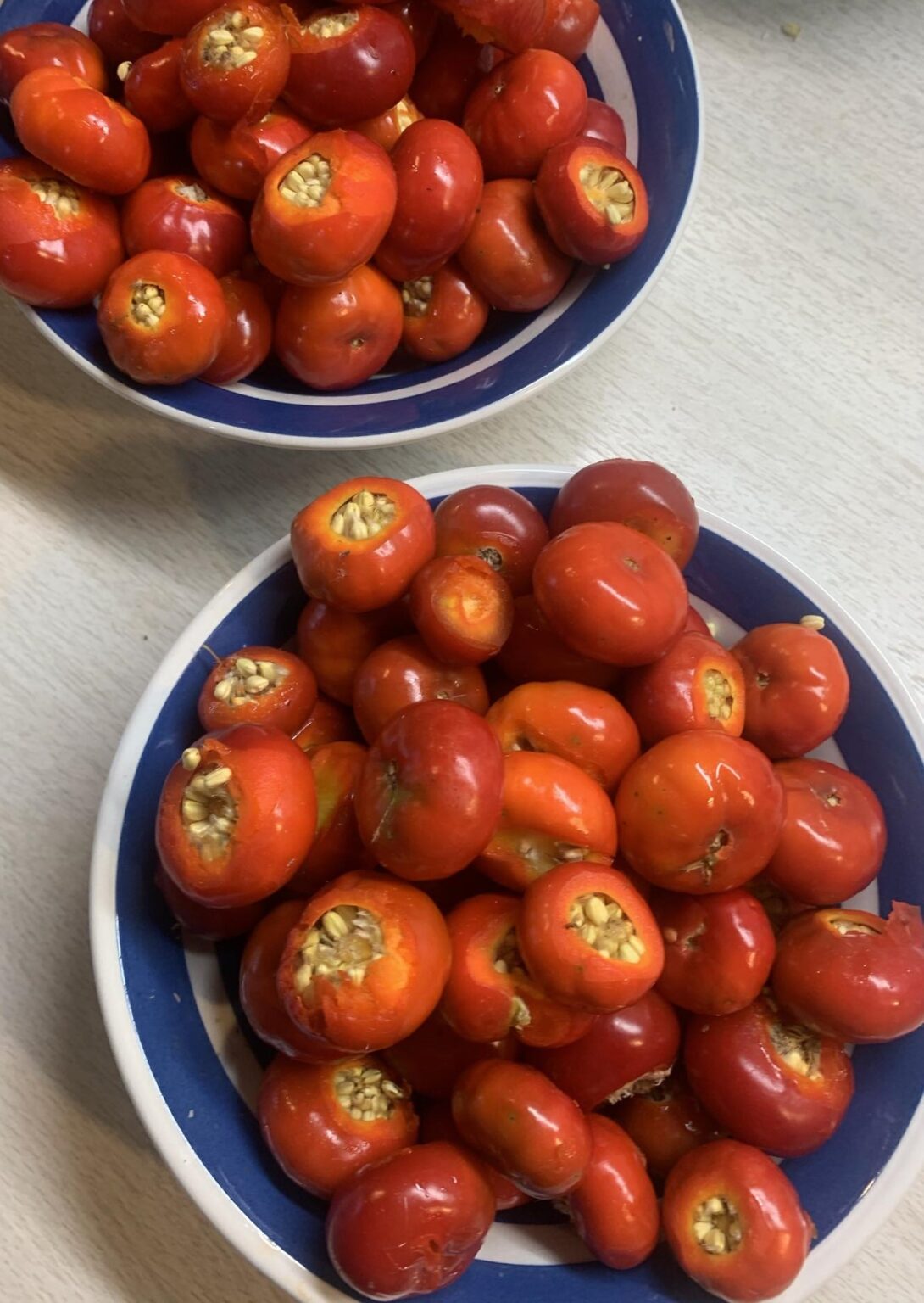 Hybensuppe - Retromad.dk