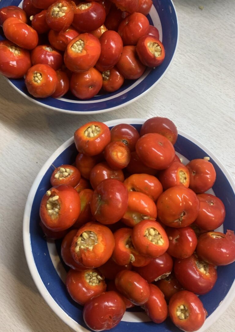 Hybensuppe - Retromad.dk